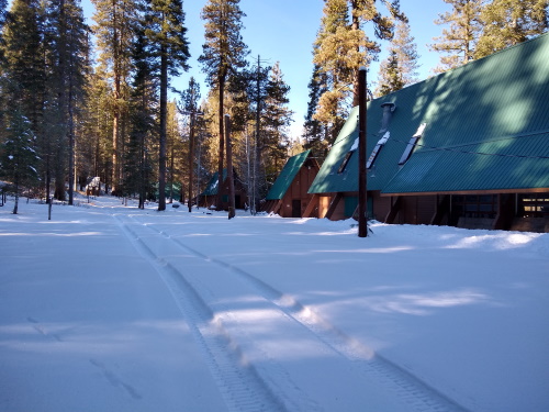 “We’re out at Camp El‑O‑Win, the camp of our dreams!” - Camp El-O-Win